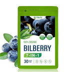 HerbOLITHIC bilberry tea bags