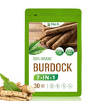 HerbOLITHIC Burdock Root Tea bags