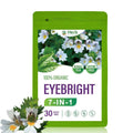 HerbOLITHIC Eyebright herbal tea bags