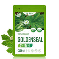 HerbOLITHIC Goldenseal Tea bags