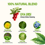 HerbOLITHIC herbal detox tea