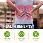 HerbOLITHIC herbal tea for detox