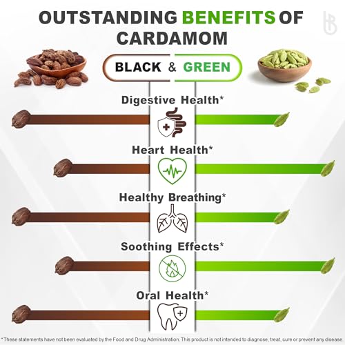 Herbpy multivitamin for men