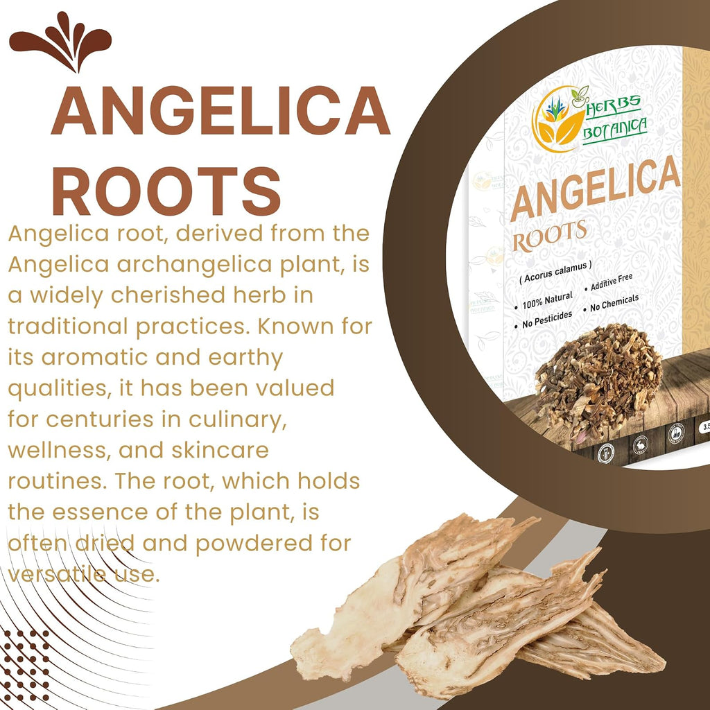 Herbs Botanica angelica root tea