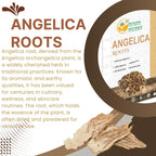Herbs Botanica angelica root tea