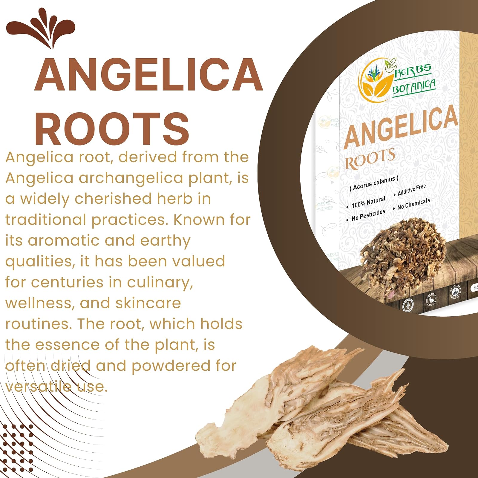Herbs Botanica angelica root tea