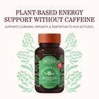 Herbs Etc. chlorophyll concentrate benefits