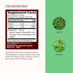 Herbs Etc. chlorophyll for energy boost