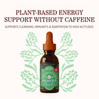 Herbs Etc. herbal chlorophyll benefits