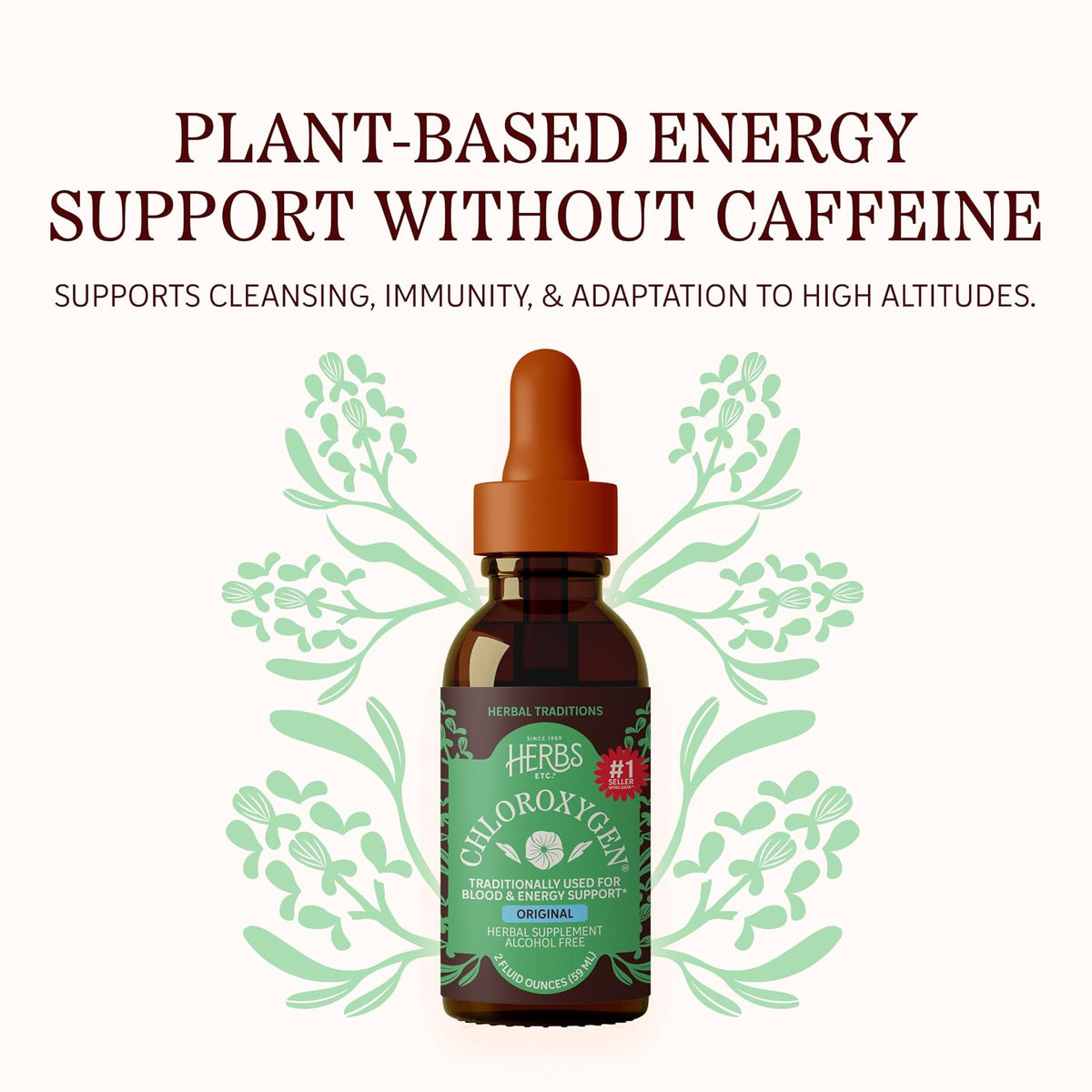 Herbs Etc. herbal chlorophyll benefits