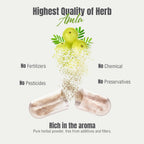 Herbsforever Amla for immune support