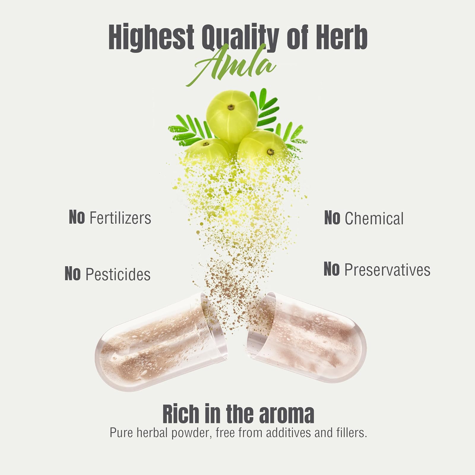 Herbsforever Amla for immune support