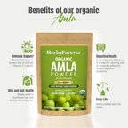 Herbsforever Amla Fruit 454 g packaging