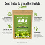 Herbsforever Amla Powder for digestive wellness