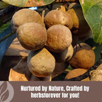 HerbsForever digestive support powder