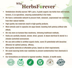 Herbsforever Gotu Kola for overall wellness