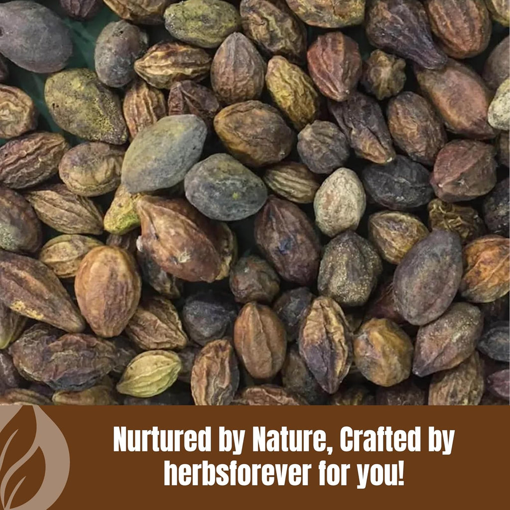 HerbsForever Haritaki for daily nutrition