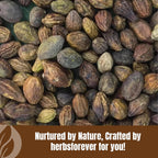 HerbsForever Haritaki for daily nutrition
