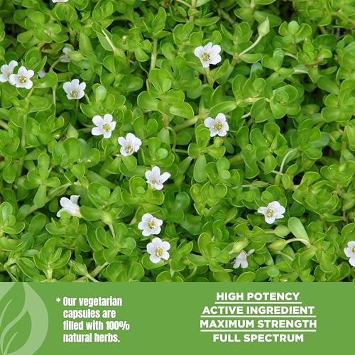 Herbsforever herbal capsules for relaxation