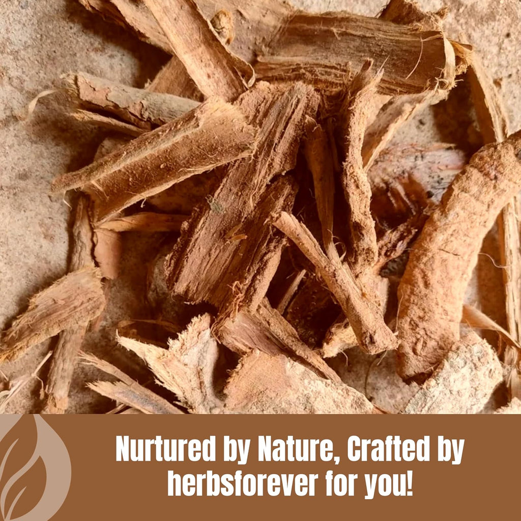 Herbsforever Kutaja for gut health