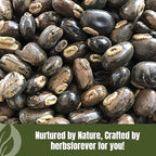 Herbsforever Mucuna Pruriens nutrition