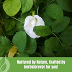 HerbsForever multivitamins for daily health