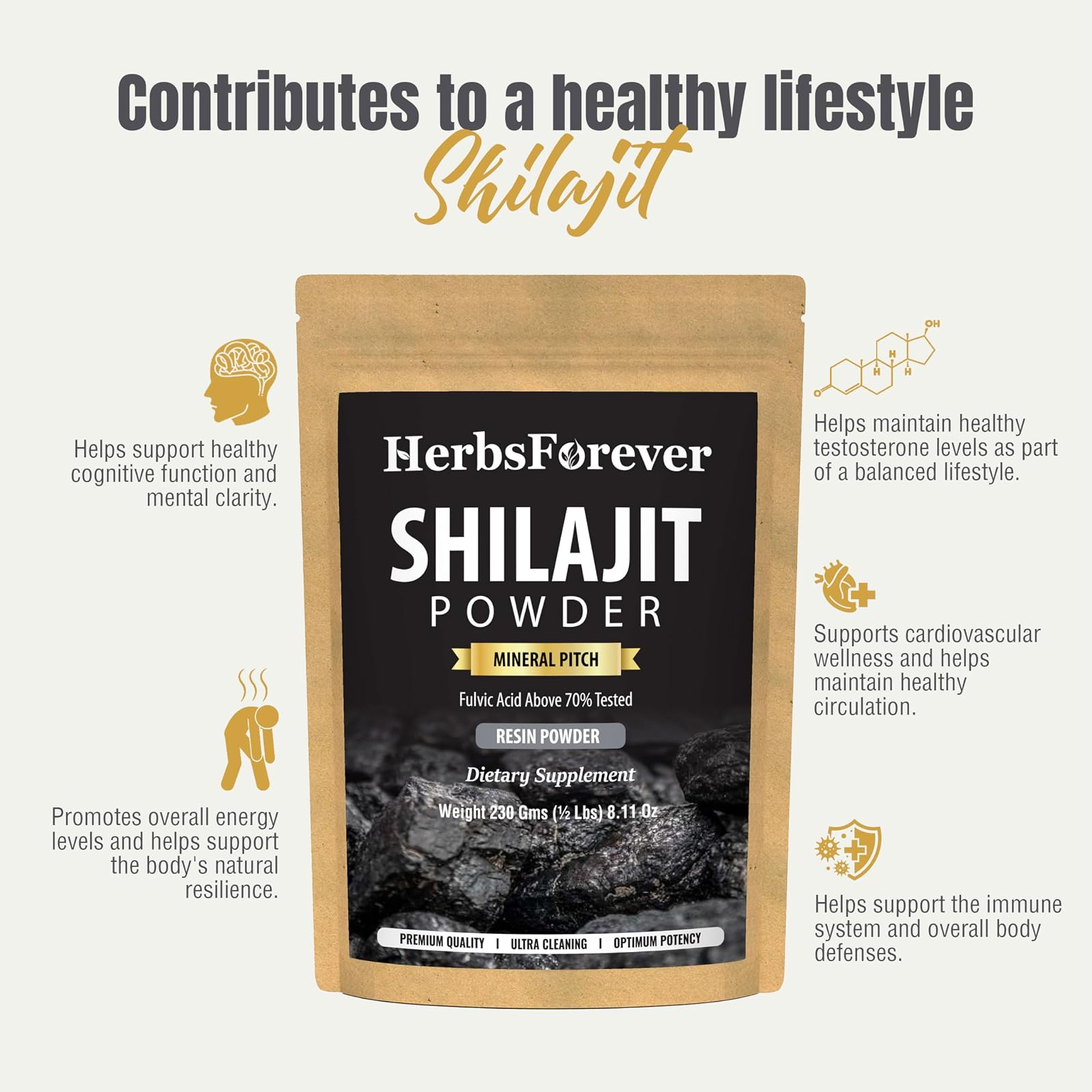 Herbsforever Shilajit Powder for endurance