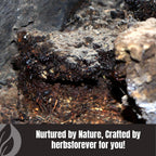Herbsforever Shilajit Powder for immunity