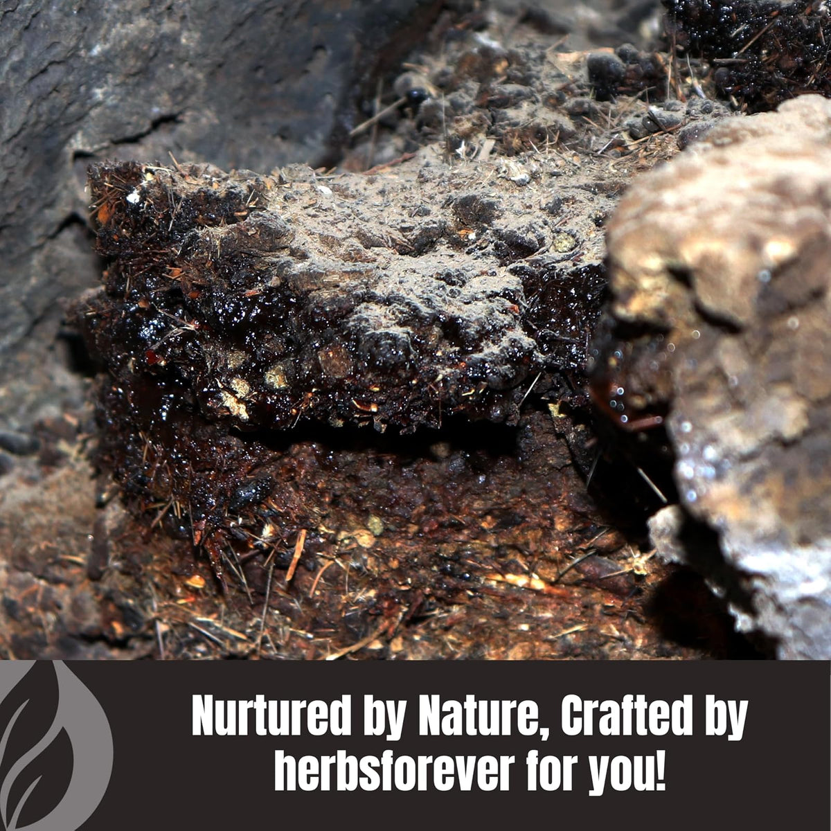 Herbsforever Shilajit Powder for immunity