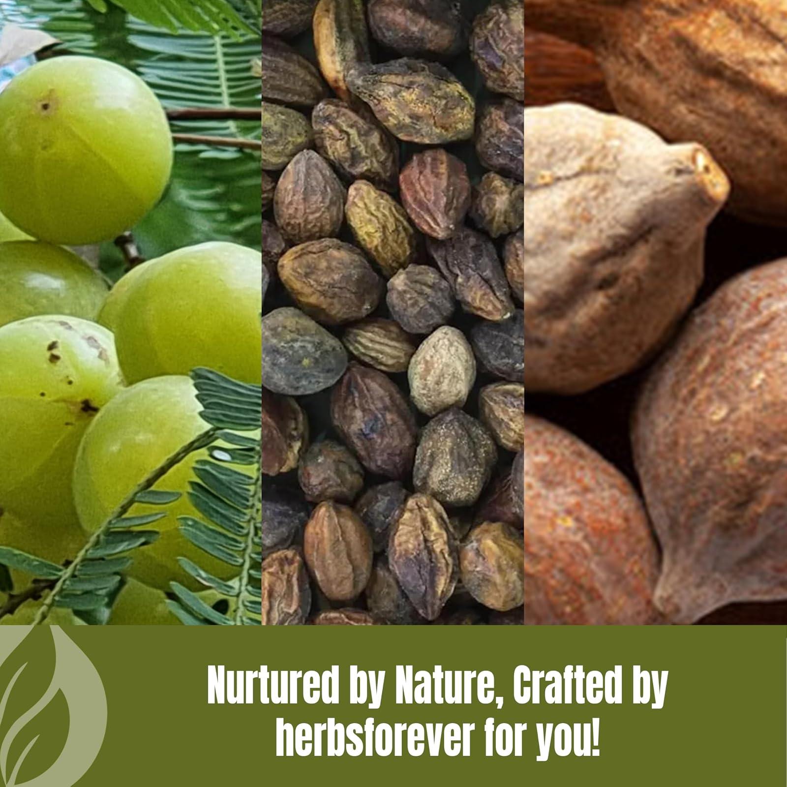 Herbsforever Triphala for healthy digestion