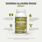 Herbsforever Varuna for immune support