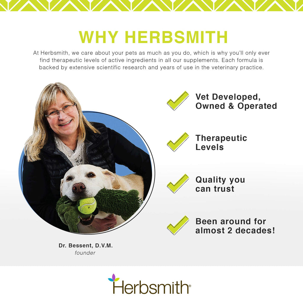 Herbsmith immune powder for dogs