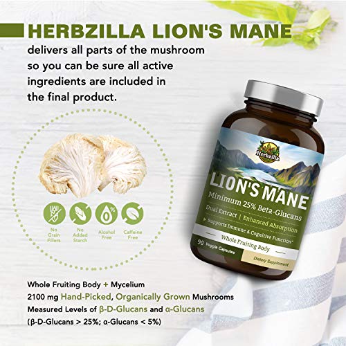 Herbzilla mushrooms for cognitive function