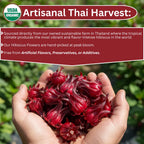 hibiscus powder for vibrant health