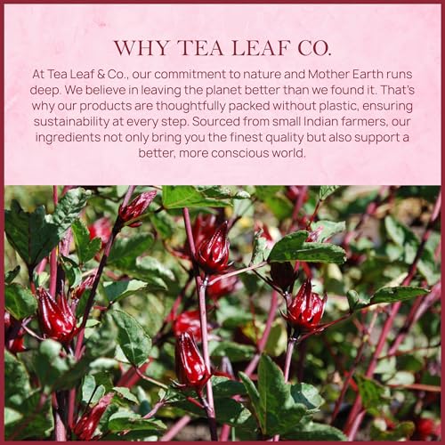Hibiscus tea bags for iced tea