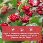 Hibiscus tea for vibrant health