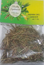 Hierba del Cancer herbal tea benefits