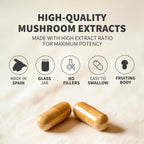 HIFAS DA TERRA adaptogen mushroom benefits