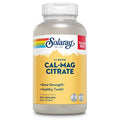high absorption calcium supplement