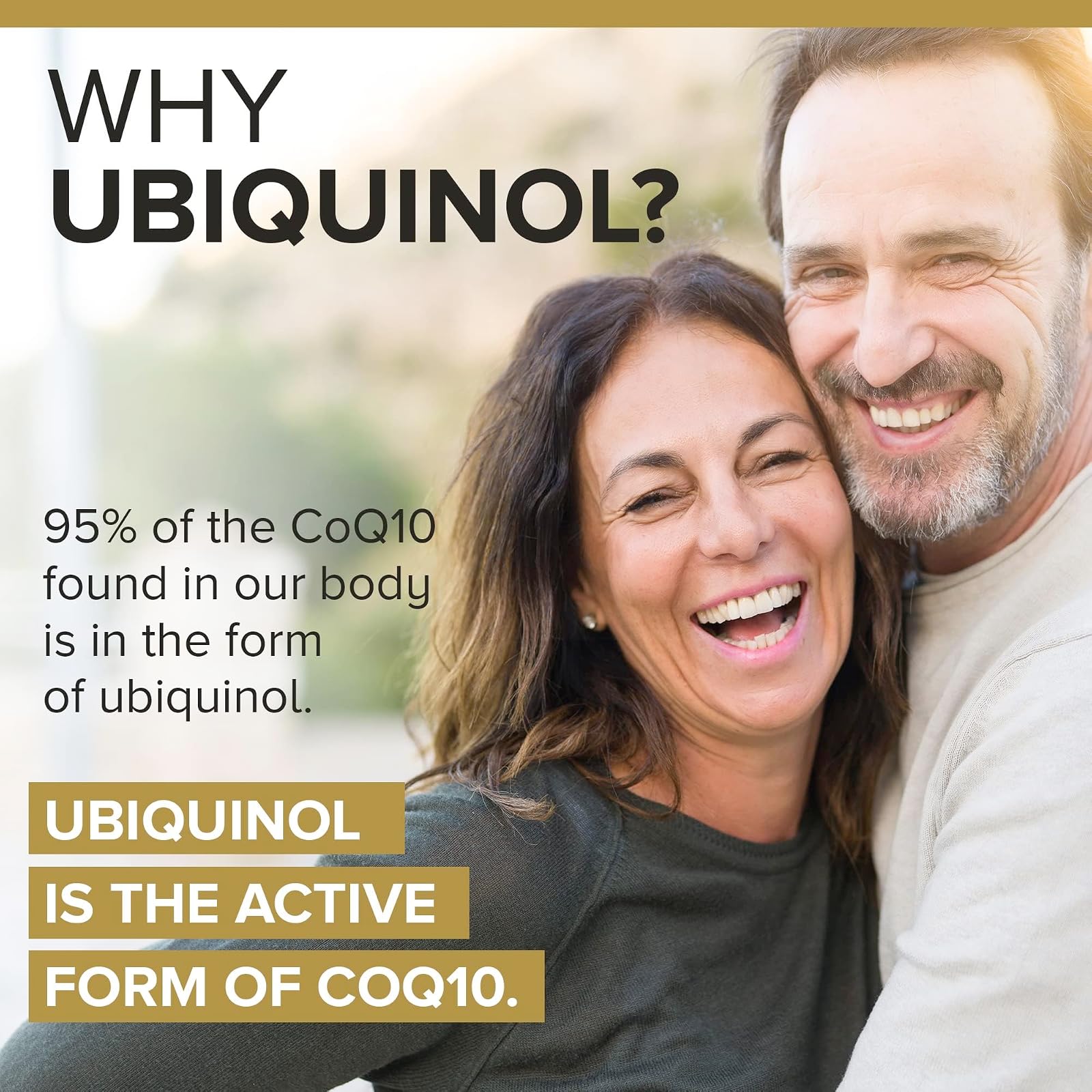 high absorption coq10 supplement