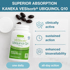 high absorption coq10 supplement