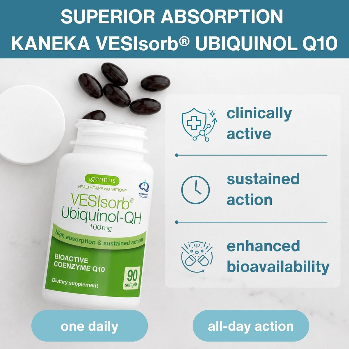 high absorption coq10 supplement