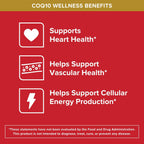 high absorption coq10 supplement