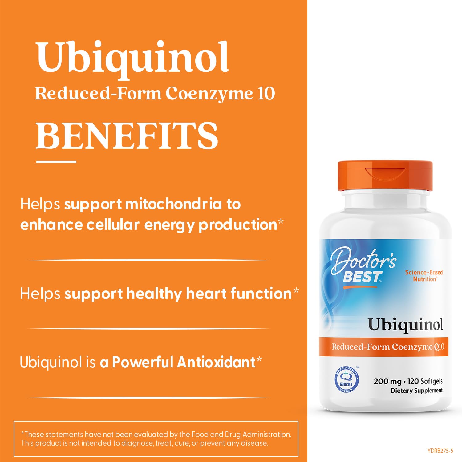 high absorption coq10 supplement