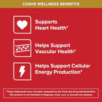 high absorption CoQ10 supplement