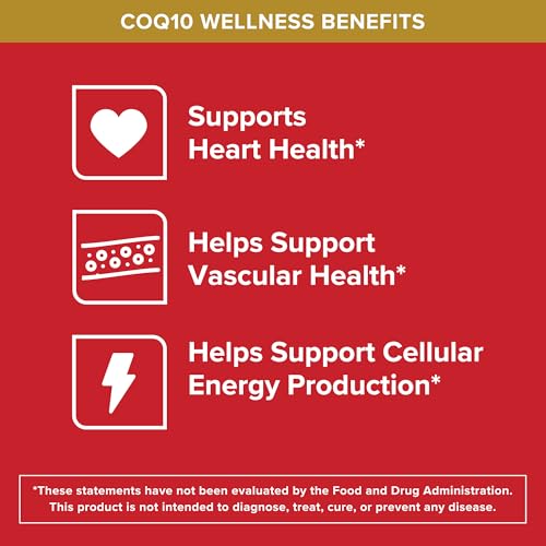 high absorption CoQ10 supplement