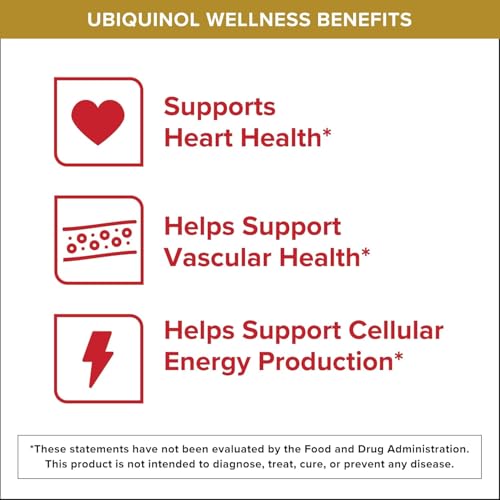 high absorption coq10 supplement