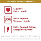 high absorption coq10 supplement