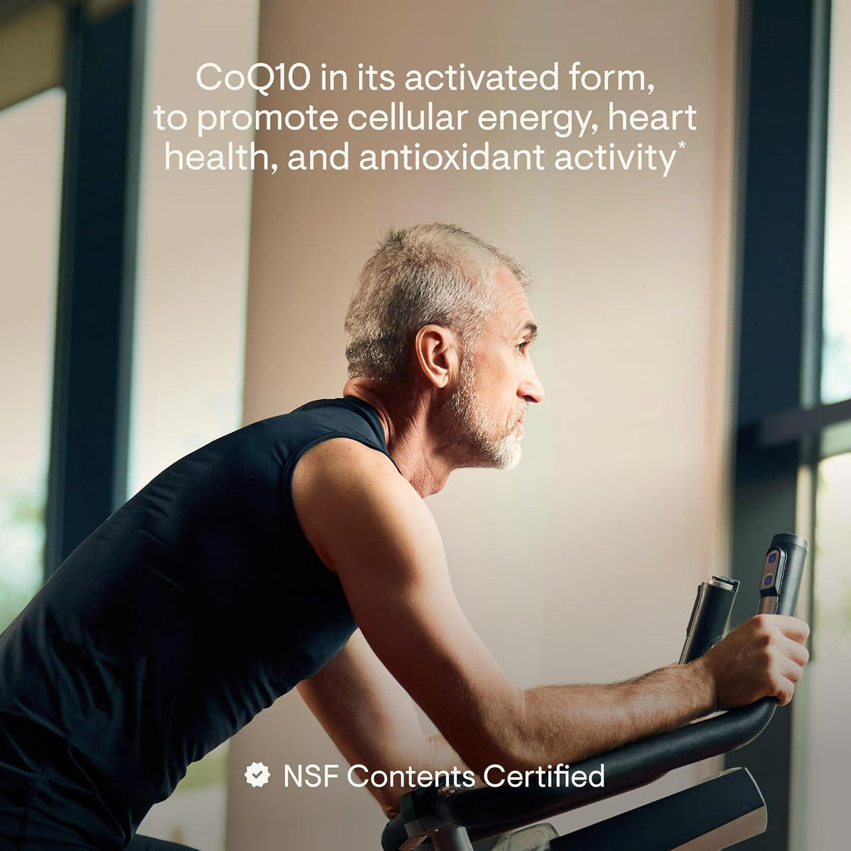 high absorption CoQ10 supplement