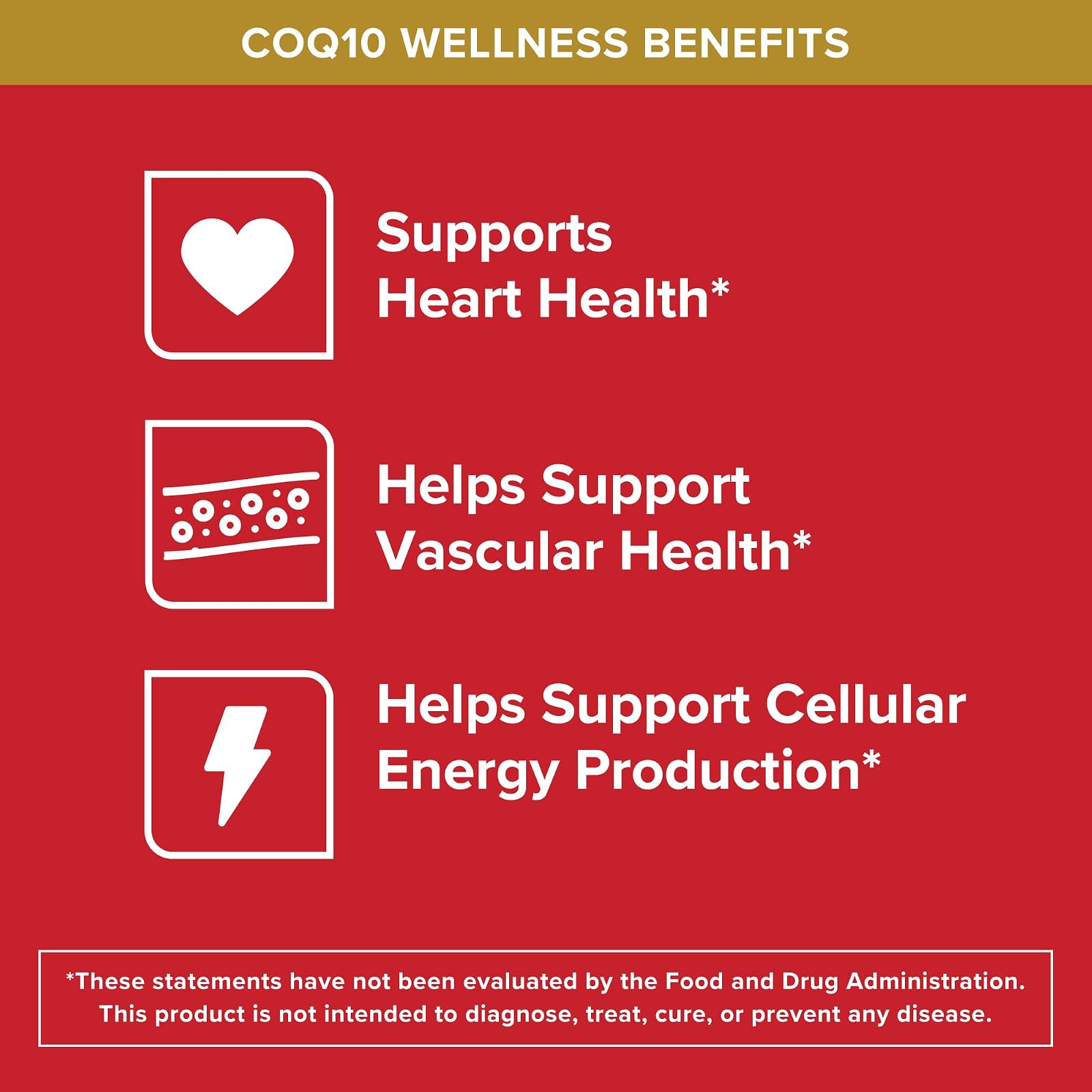 high absorption coq10 ubiquinol supplement